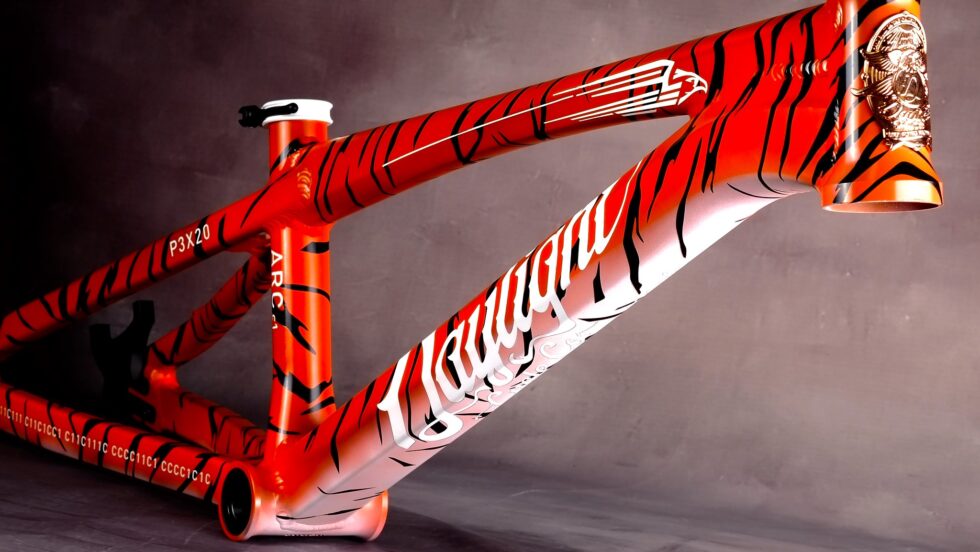 ARC | Daylight Cycles