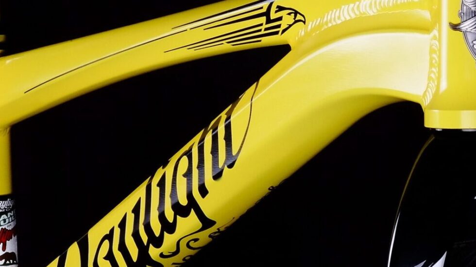 PAINT SHOP | Daylight Cycles