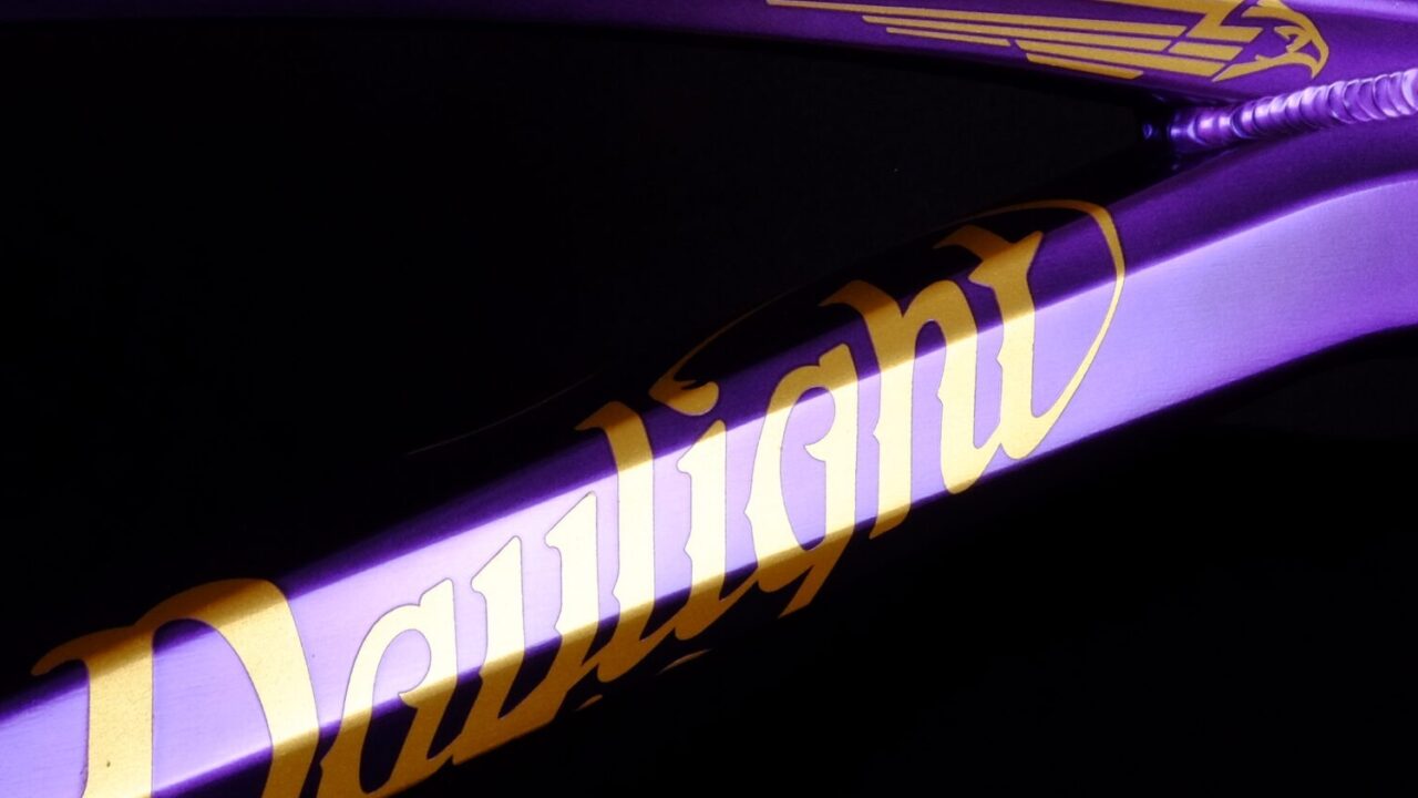 PAINT SHOP | Daylight Cycles